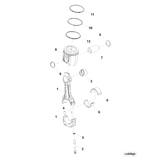 4955975 Cummins | Piston Ring Kit | Source One Parts Center