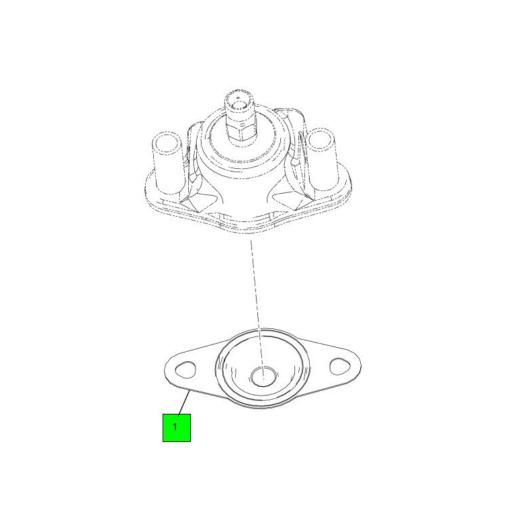 3005521C1 Navistar International | Hydrocarbon Injector Gasket | Source ...