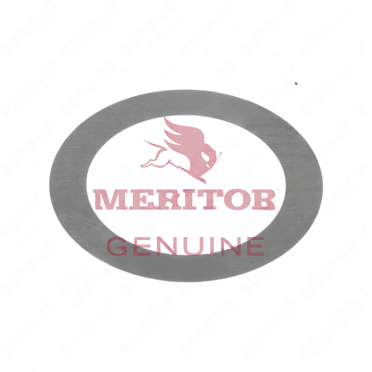 R210224 Meritor | King Pin Shim | Source One Parts Center